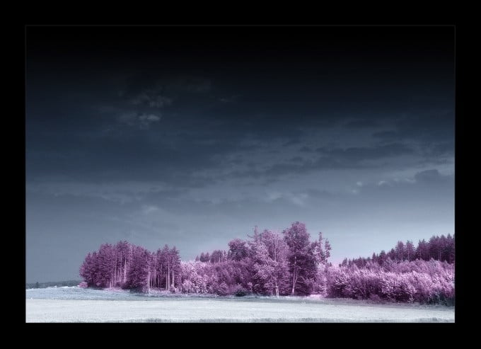 40+ Examples of Beautiful Purple Nature Colors Photography ...