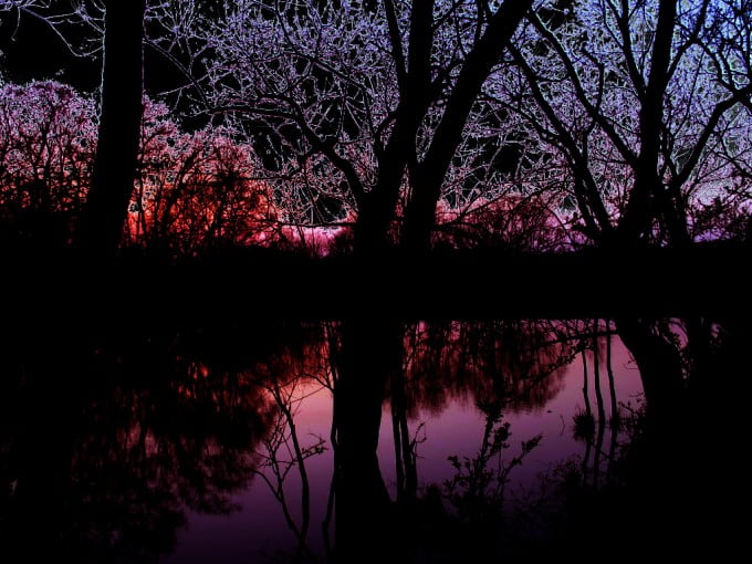 40+ Examples of Beautiful Purple Nature Colors Photography ...