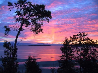 40+ Examples of Beautiful Purple Nature Colors Photography ...