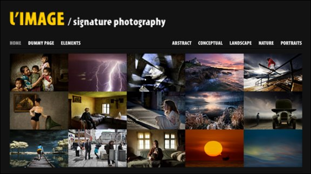 50+ Premium Wordpress Image Gallery Portfolio Themes – EntertainmentMesh