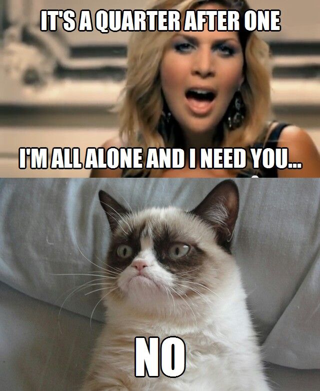 Funny Grumpy Cat Memes Clean 100 Dank Cat Memes Ever - vrogue.co Funny Grumpy Cat Memes Clean 100 Dank Cat Memes Ever - vrogue.co