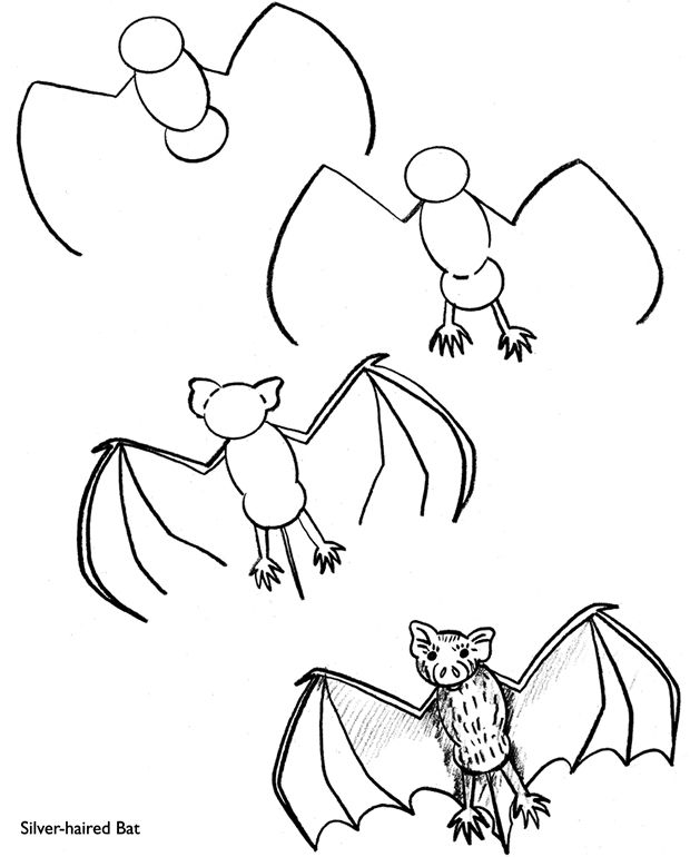 30 Scary Drawing Ideas for Halloween – EntertainmentMesh