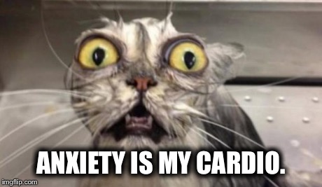 Anxiety Cat Meme 3 – EntertainmentMesh