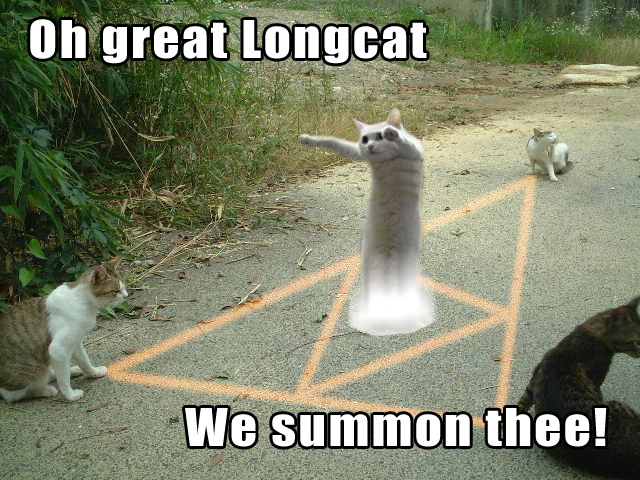 Long Cat Memes 3 – EntertainmentMesh