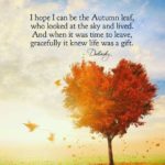 30+ Autumn Quotes to Fall In Love with Winter Beauty – EntertainmentMesh