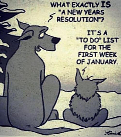 20+ Happy New Year Funny Meme Images