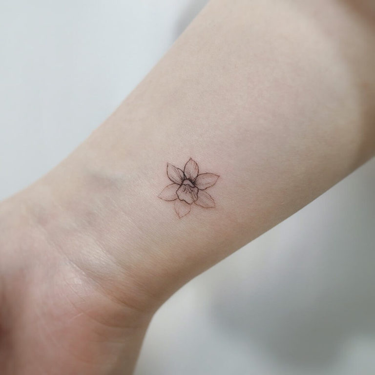 20+ Amazing December Birth Flower Tattoo Ideas – EntertainmentMesh